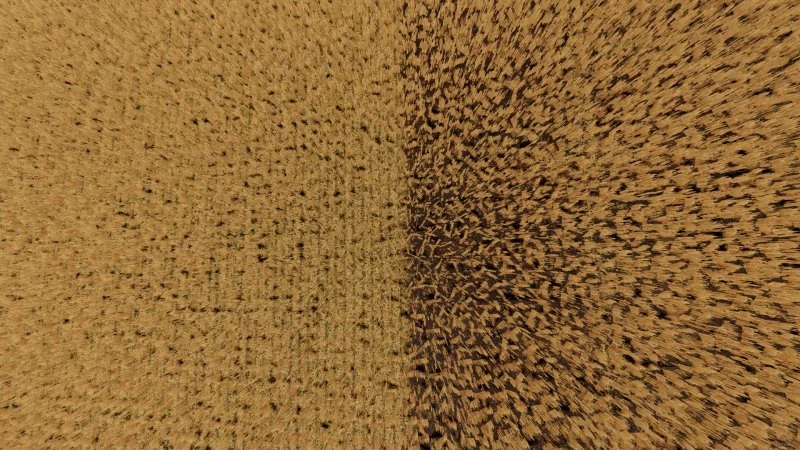 VISIBLE MANURE TEXTURE ON STUBBLE - Forbidden Mods - einfach verboten gut