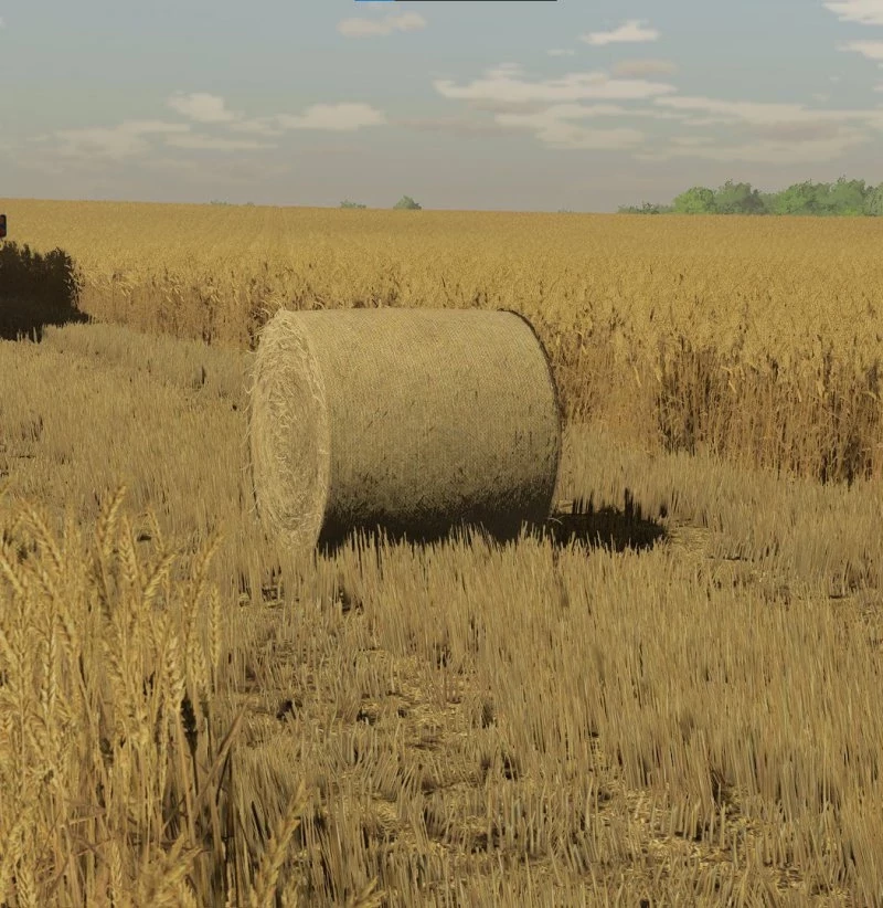 FS22 BARLEY AND WHEAT TEXTURES - Forbidden Mods - einfach verboten gut
