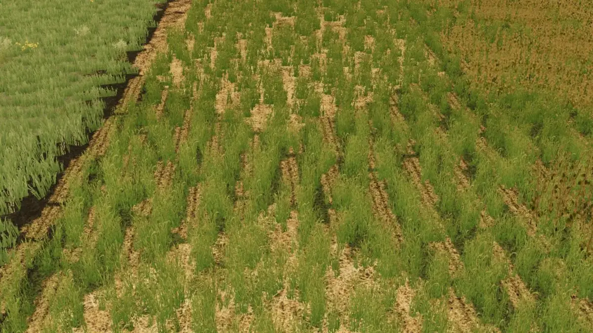 Graystone Farm (Row Crop Ready) - Forbidden Mods - einfach verboten gut