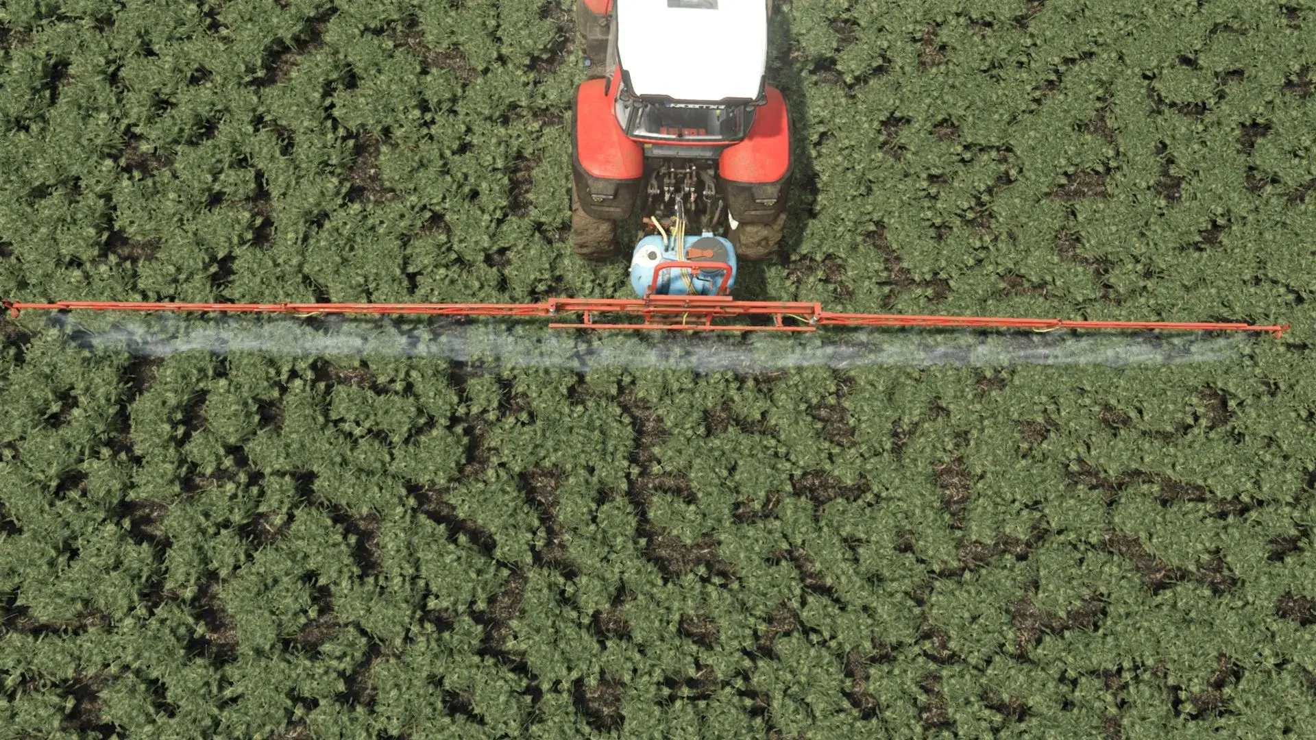 Biardzki P329/2 - Forbidden Mods - einfach verboten gut