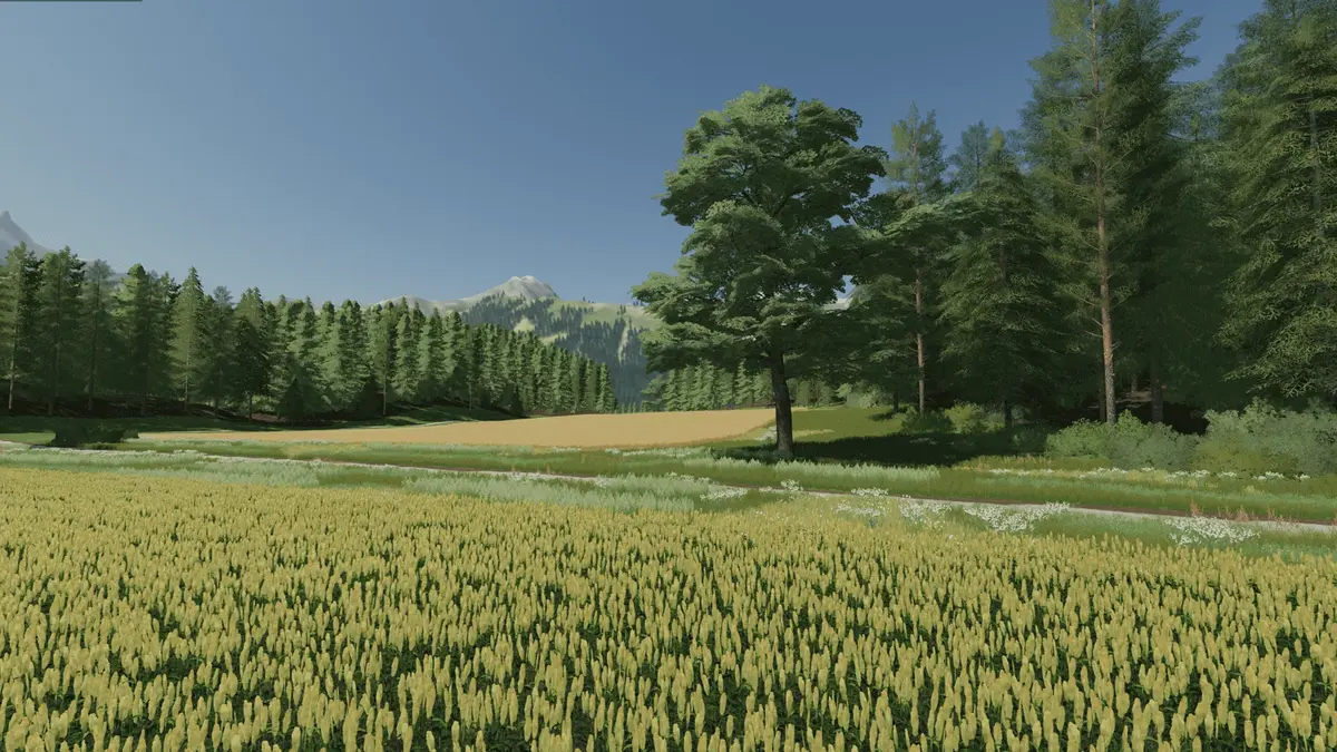 FS22 OSIEK MAP - Forbidden Mods - einfach verboten gut