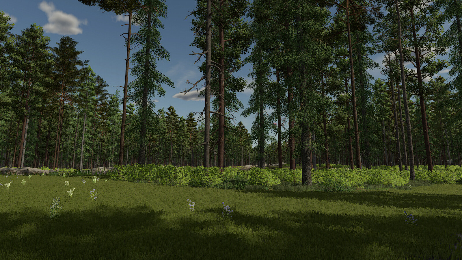 InTo The Woods - Forbidden Mods - einfach verboten gut