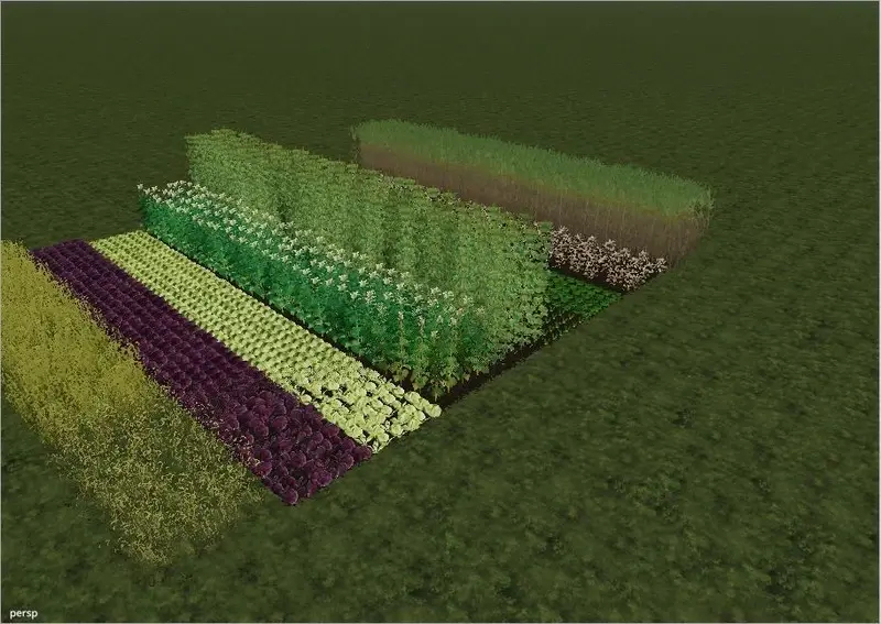 Template Map Fruit - Forbidden Mods - einfach verboten gut
